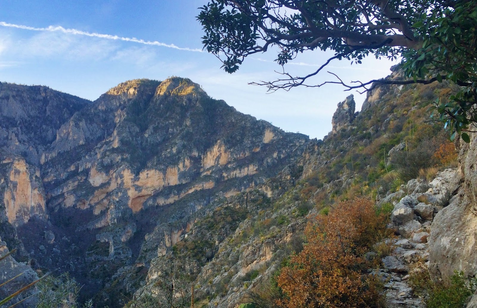 Rambling Hemlock: McKittrick Ridge in the Guadalupe Mountains