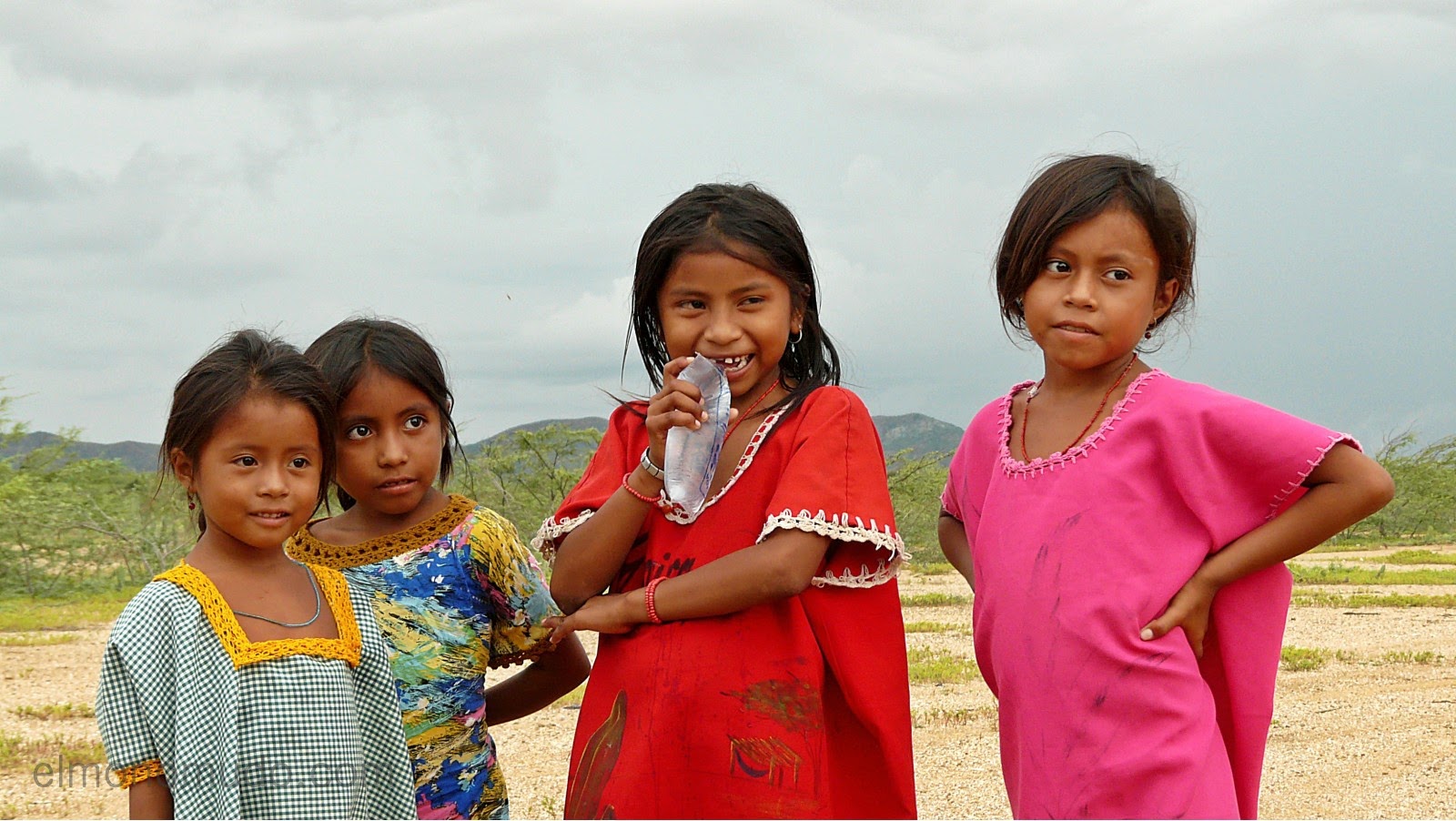 El reino animal y desnutrición entre los wayuu - La Guajira Hoy.com
