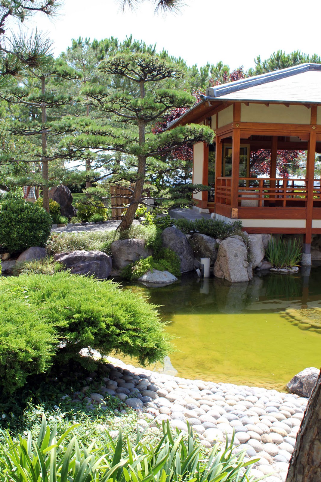 Haukås: Japansk hage i Monaco