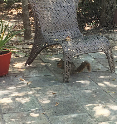 My Journey to Fit: FMM - BREAKING NEWS!!