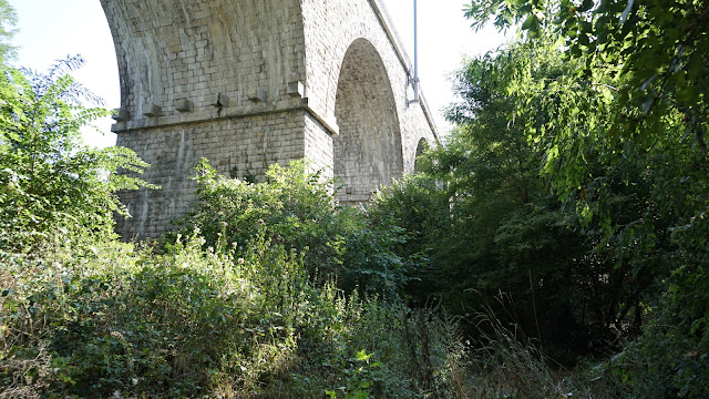 Bridge of the Week: Bridges of Lyon, France: SNCF Viaducts West of Lyon