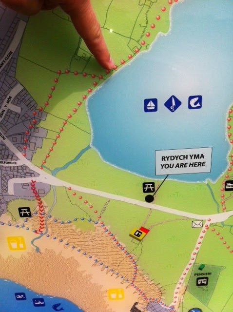 We Bird North Wales: Garganey and Swift at Llyn Maelog