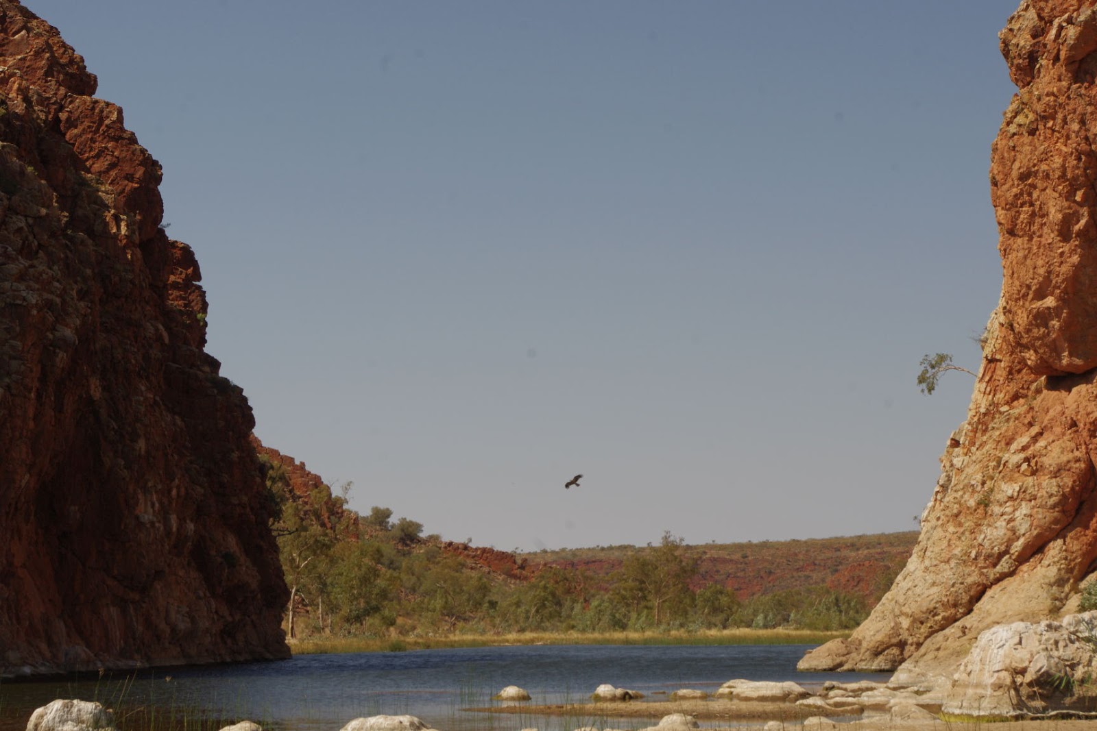 KD Trip Down Under: Wednesday, 10/31 Glen Helen Resort to Alice Springs ...