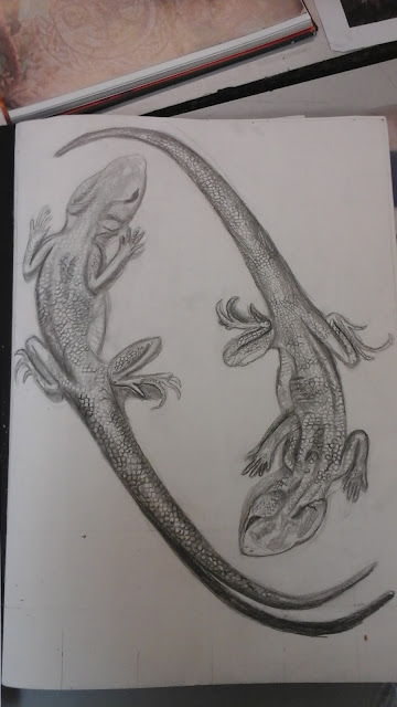 Shaun Hardwick the Artist : Lizard pencil drawing