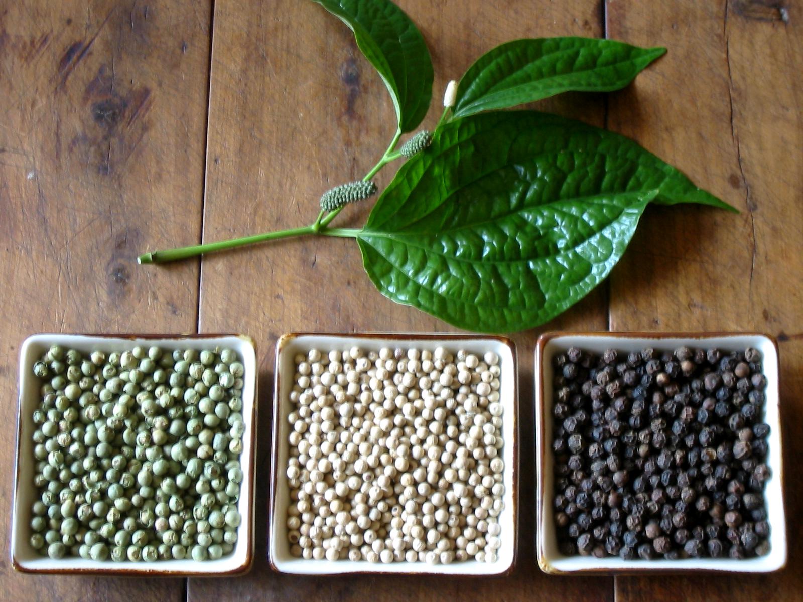 Mon école FLE: Le poivre