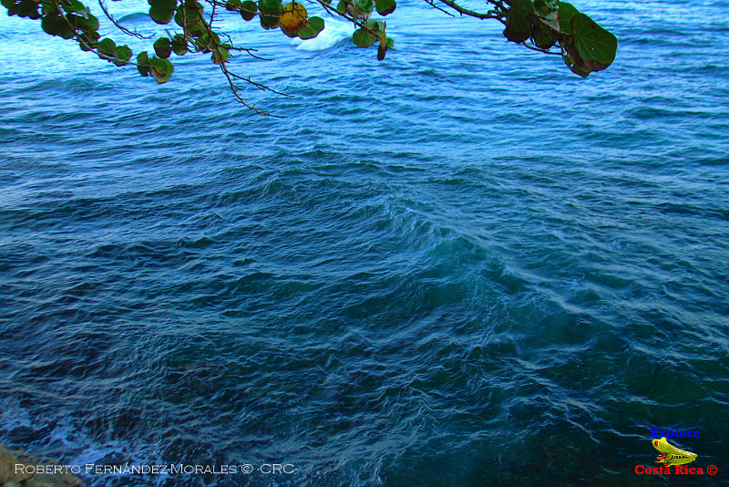 Playa Cocles de Limón | Explore Costa Rica