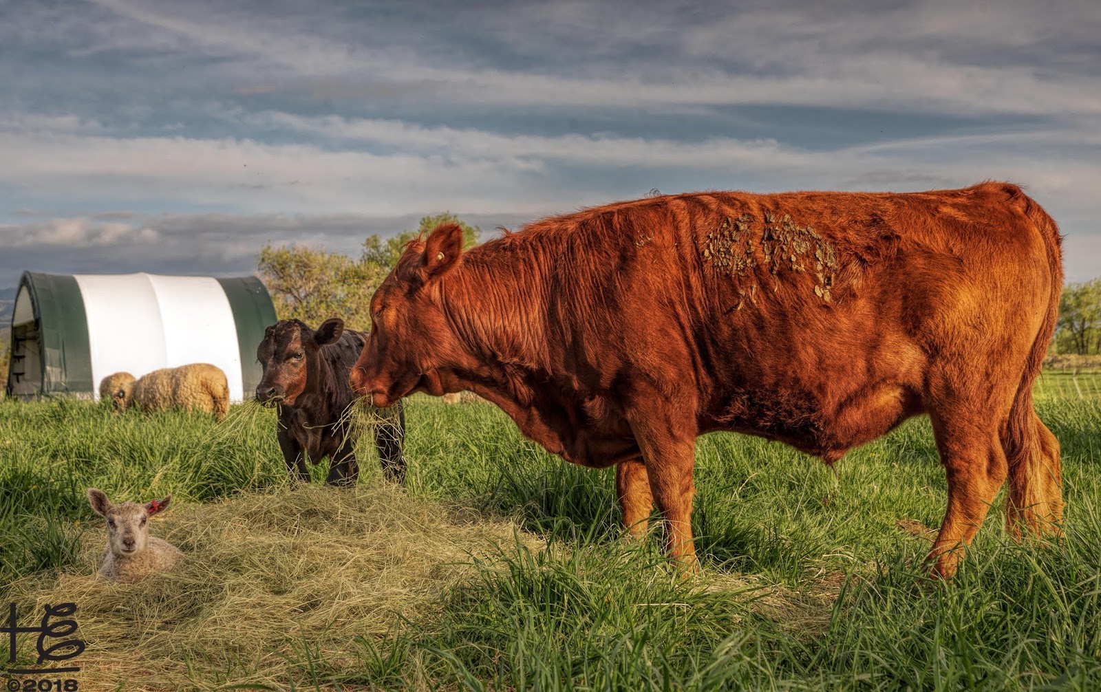 Regeneration in ACTION: New Era, New Name: Regeneration in ACTION!