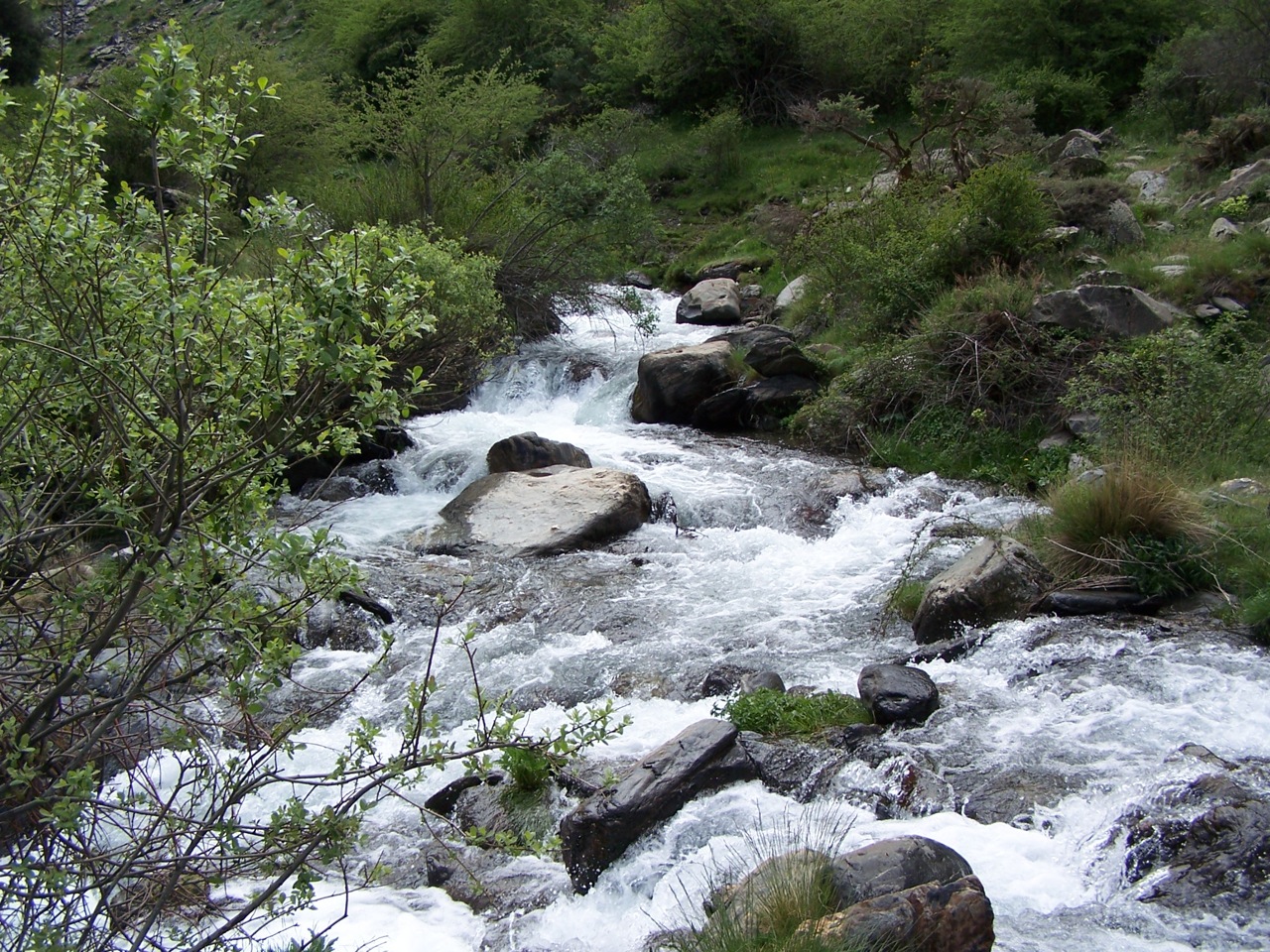 El Arte Granatensis: Rios de Granada