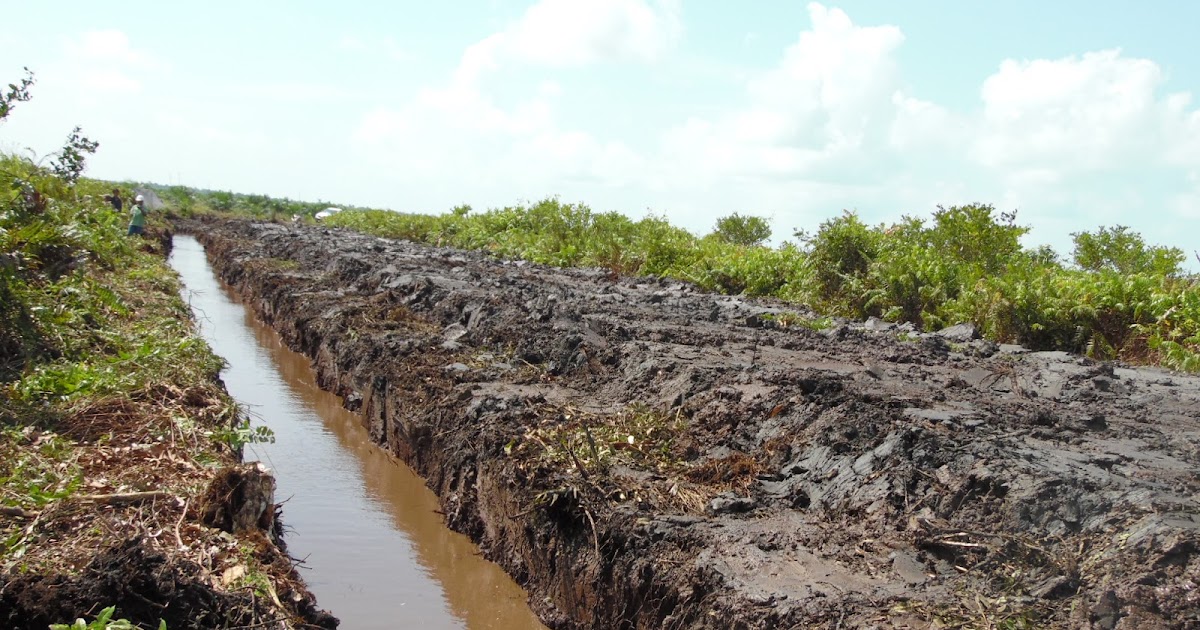 Seluk beluk parit Collection