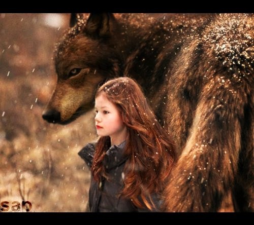 Renesmee y Jacob | Todo sobre crepusculo y más