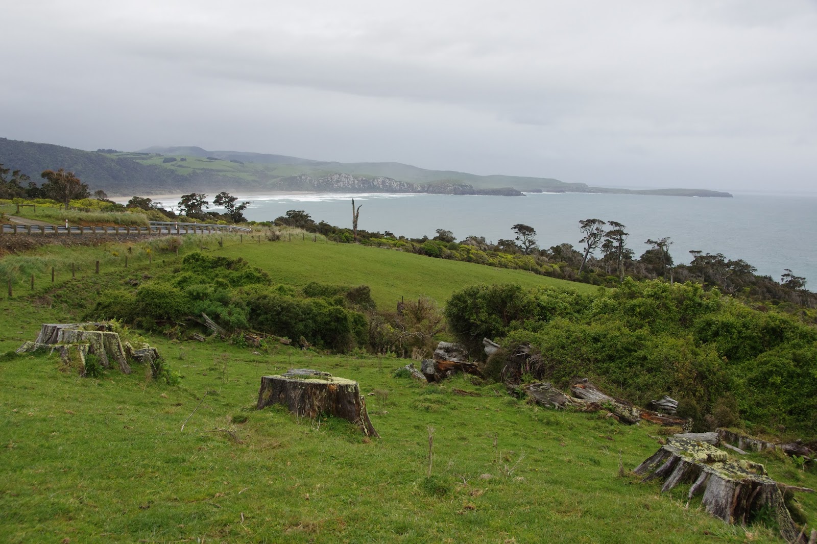 Travels and Birds: Bluff