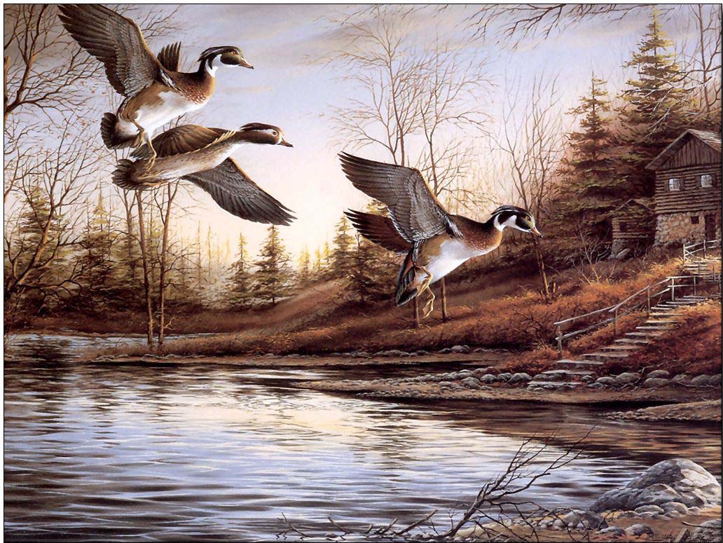 D.W.C. Birds - Artist Terry Redlin - DANCES WITH COLORS