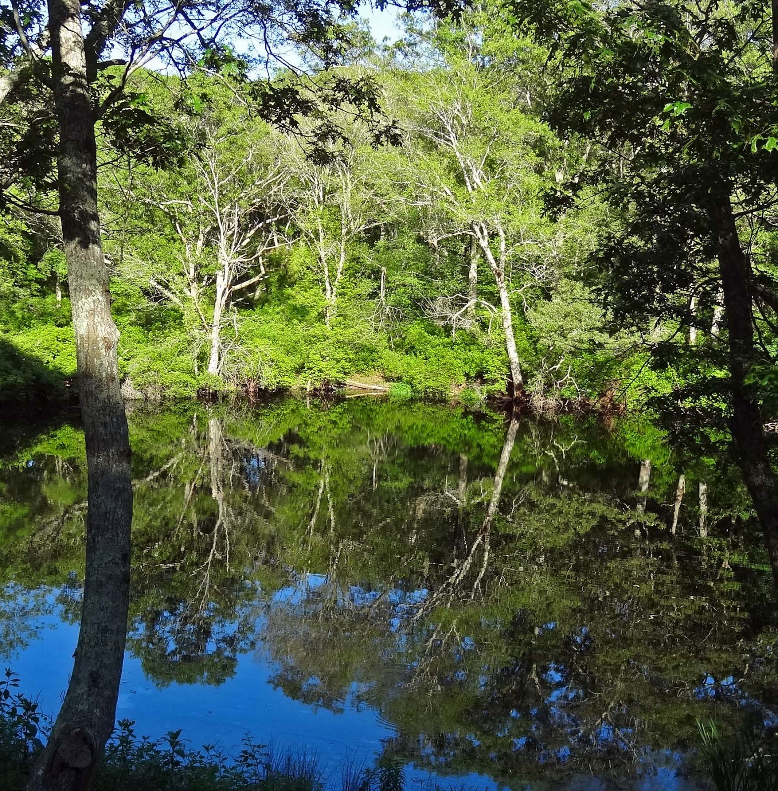 Joe's Retirement Blog: Random Sights Around Manomet, Manomet, Plymouth ...