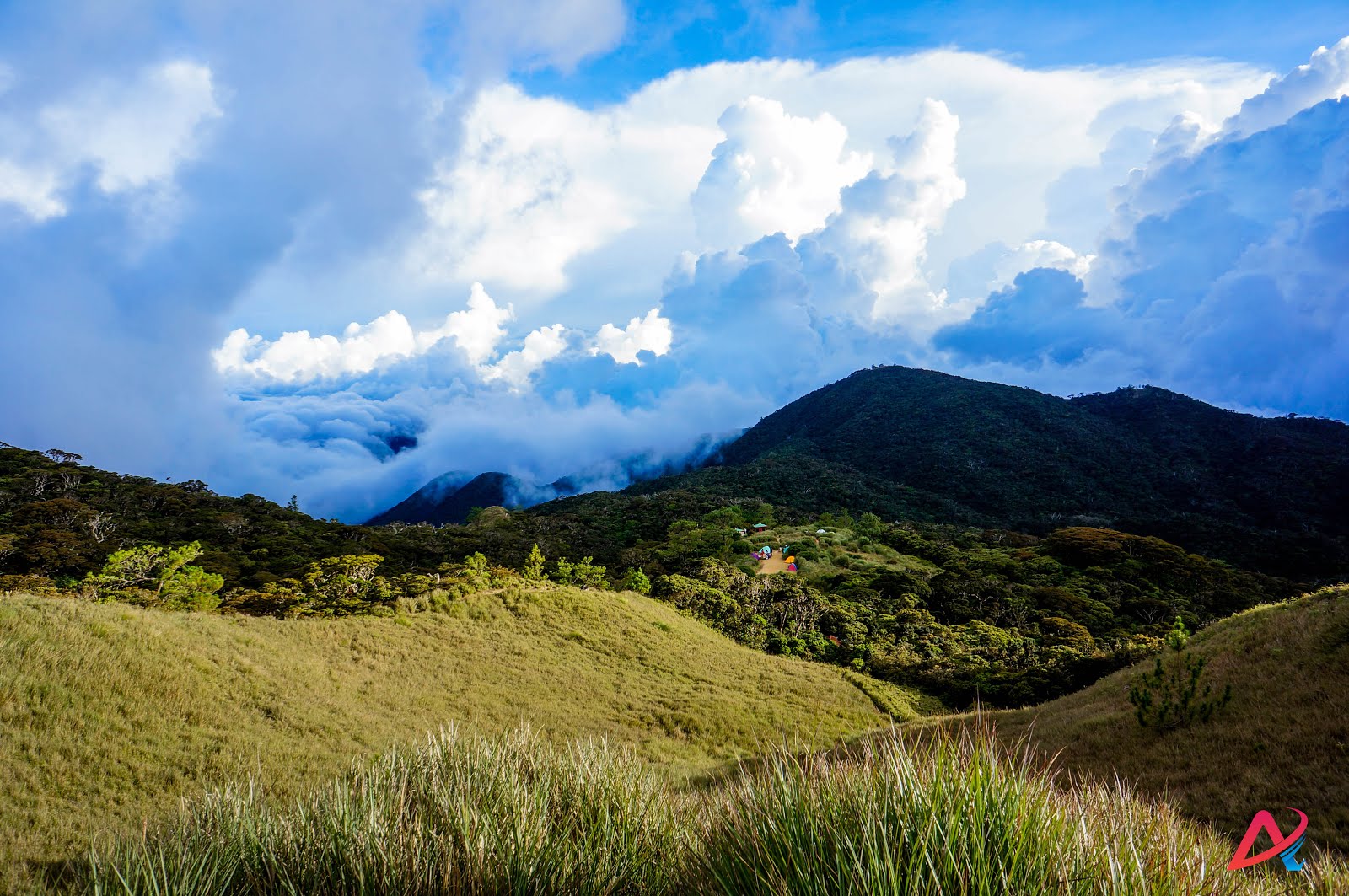 Mount Pulag "feels like heaven"