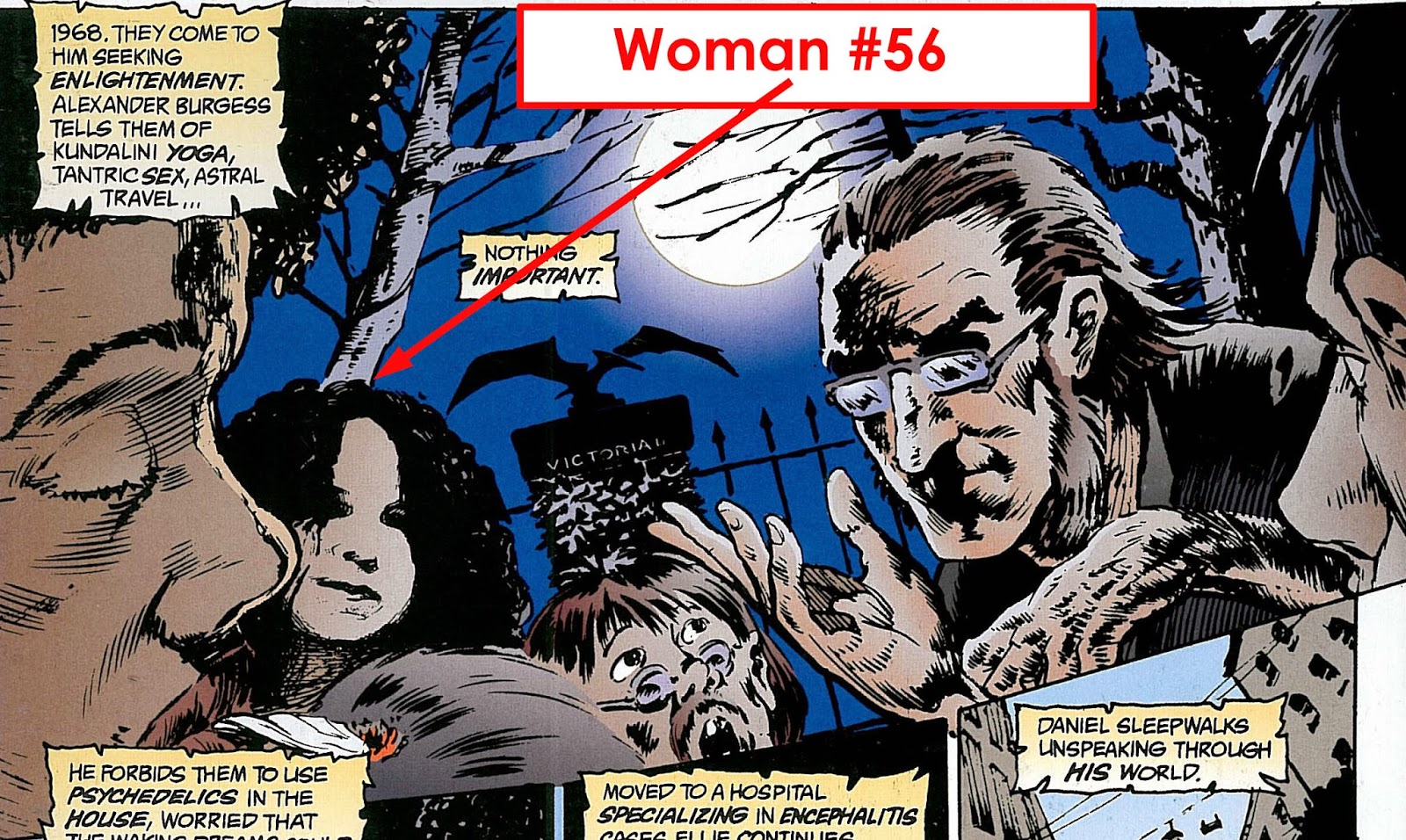 Portraits From The Sandman Universe: Woman # 56 (illustrated by Max Rugers)