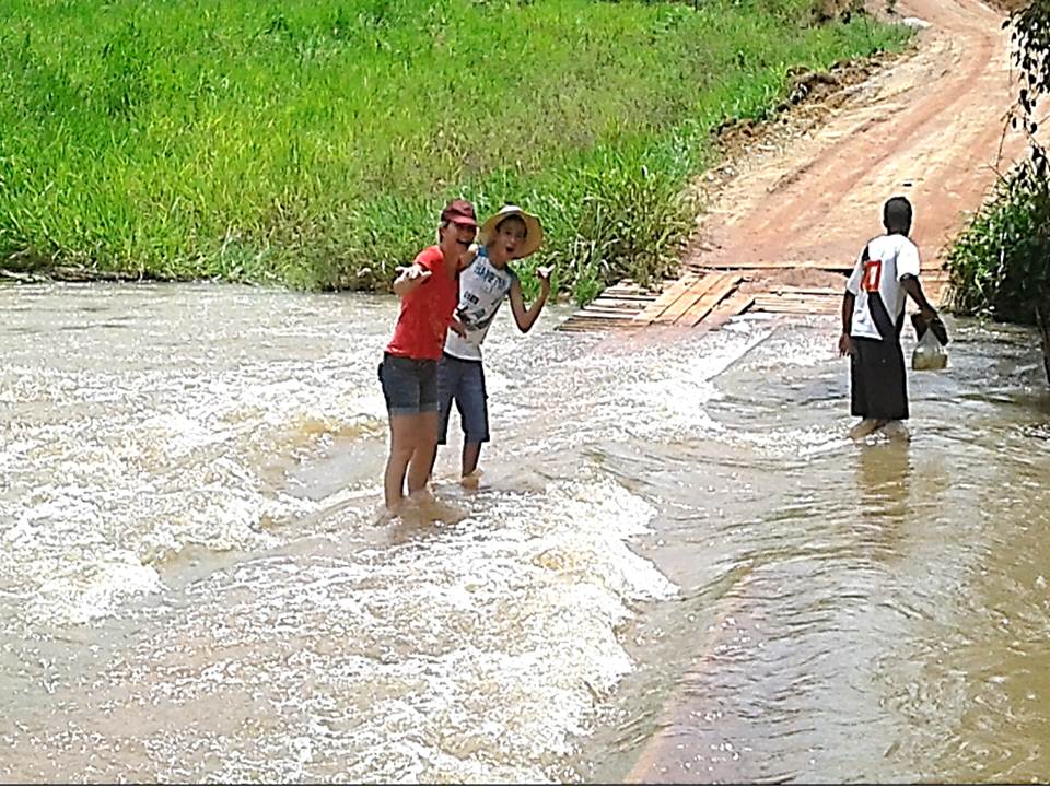 SEM POLEMICA: RODOVIA TRANSAMAZÔNICA E TRANSFORDLANDIA TEM UMA COISA EM ...
