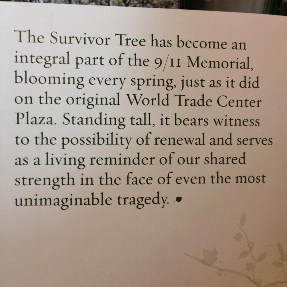 Carrying Your Love With Me: The Survivor Tree