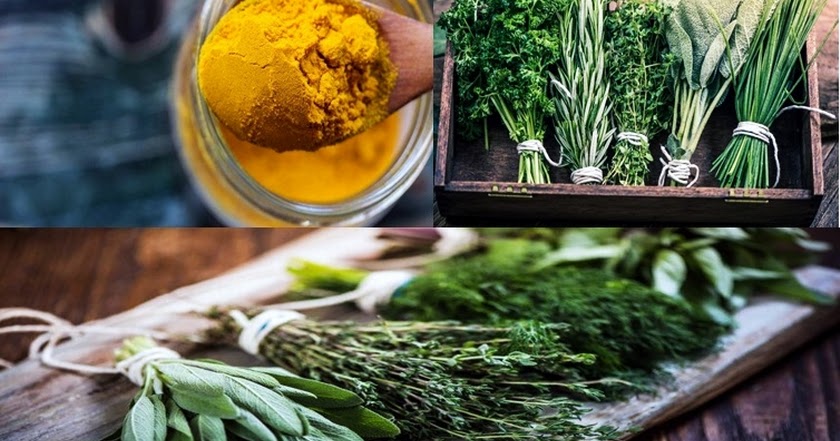 Temperos naturais para um cardápio mais saudável | Sementes para Educação