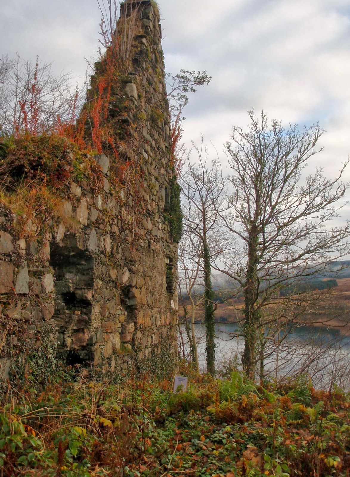 Jurassic's Blog.: Loch Awe and the Lower Orchy.