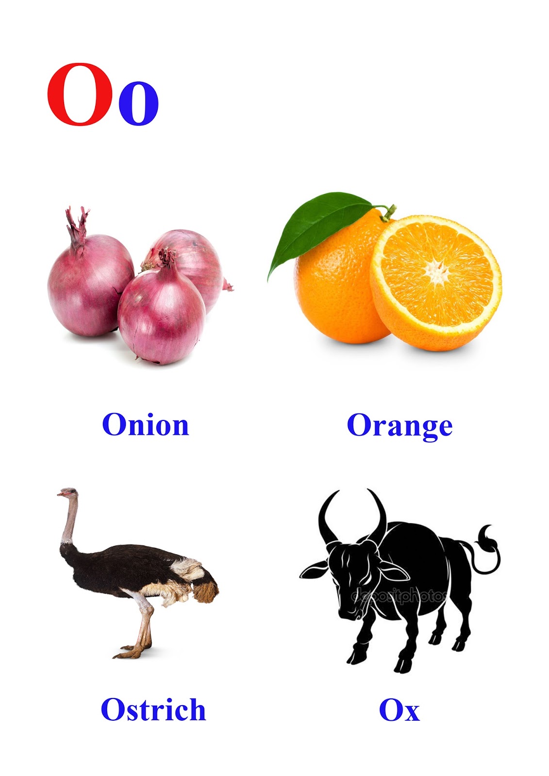 O Letter Words Kidseasylearn