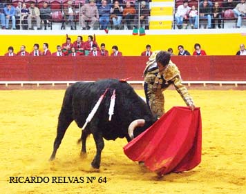 El Redondel Taurino: FOTOS:PLAZA DE TOROS COLISEU DE REDONDO 01.11-2011