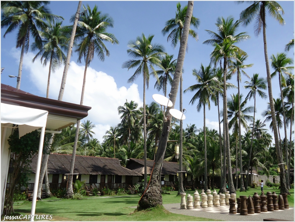 the traveller & her thoughts: KUTING REEF beach resort