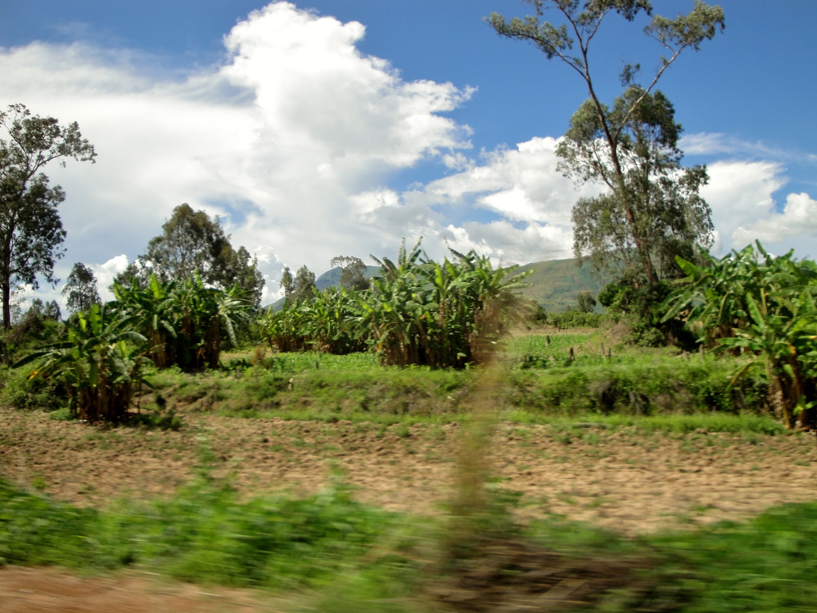 Lobito - Benguela - Angola: ==> *** Município da Ganda