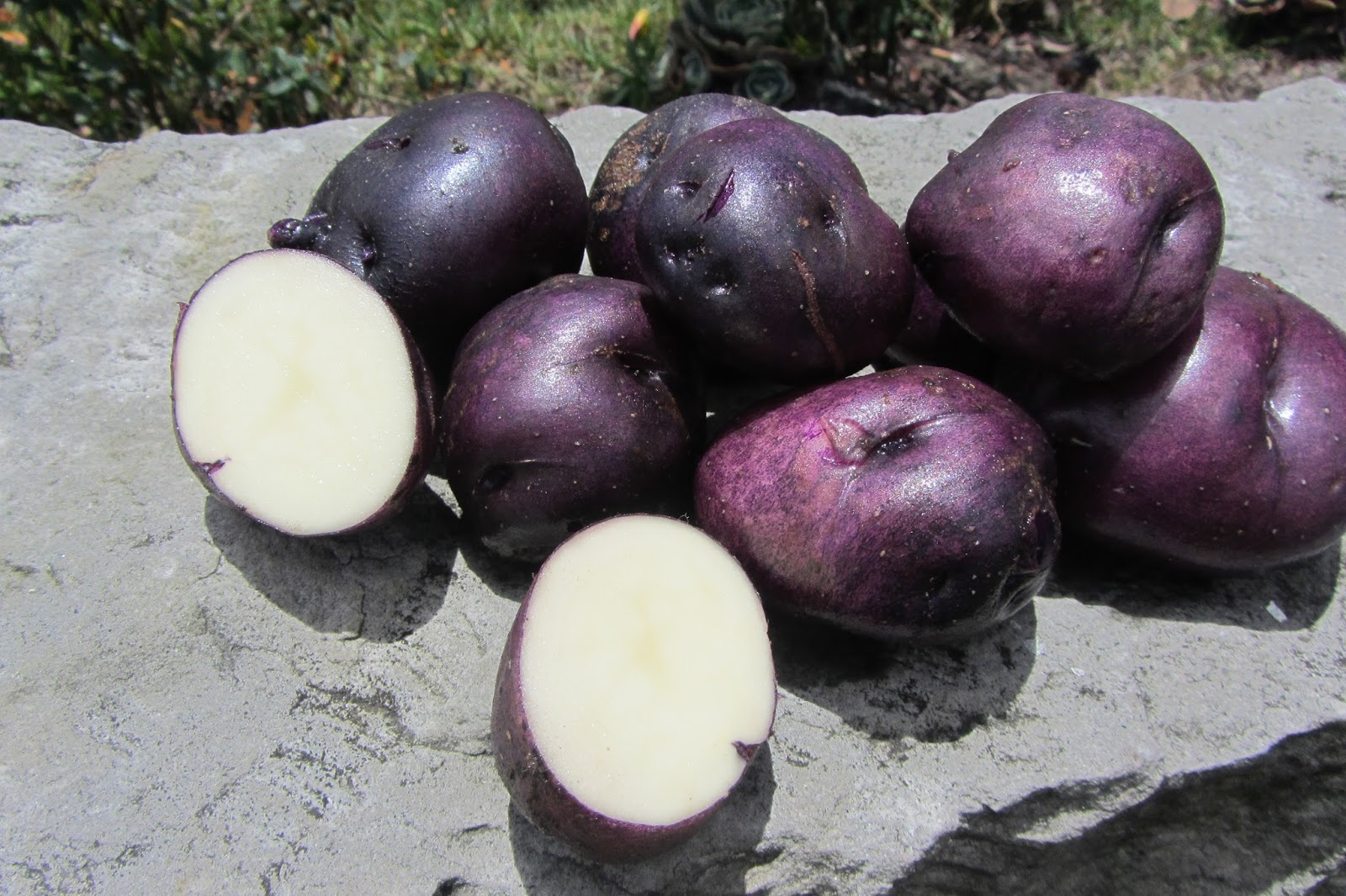 Hortelanodetabio: Papas moradas de alaejos