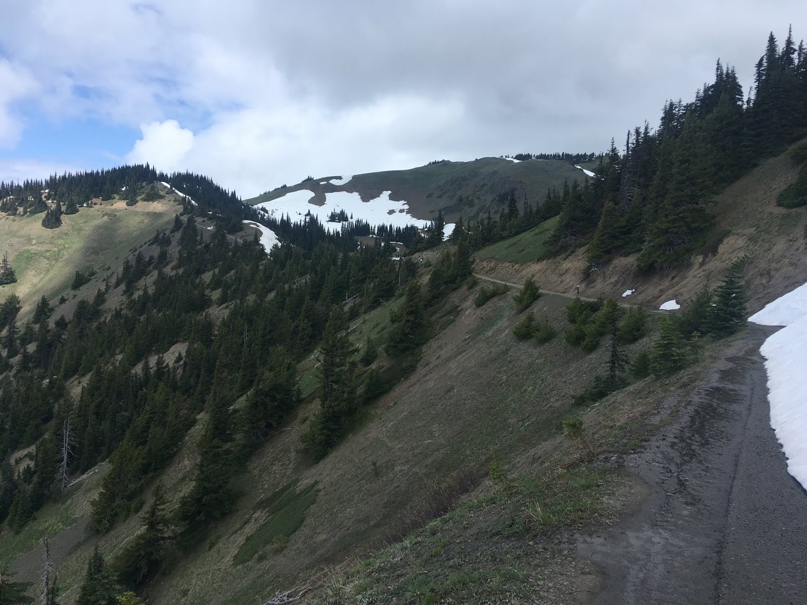 Olympic National Park; Hurricane Ridge and the Hurricane Ridge Road