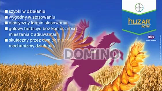 Kadrinazi: Husarze, huzarzy, huzaria...