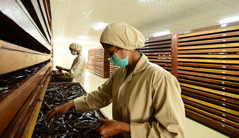 Vanilla Products Exporters in India