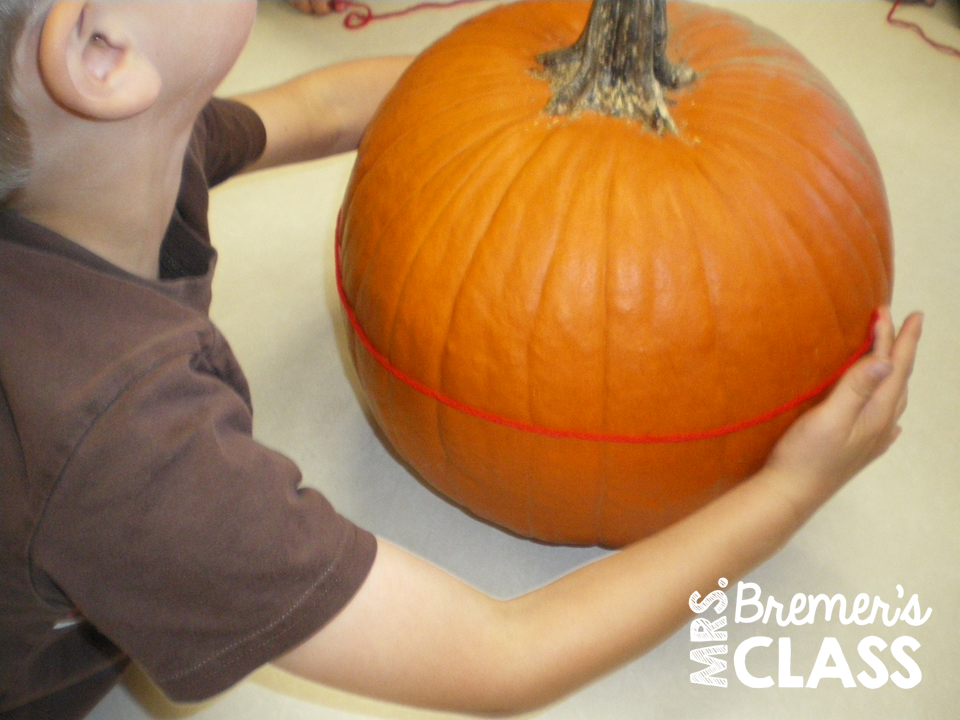 Pumpkin Fun! {Math and Literacy Activities with Pumpkins!} | Mrs ...