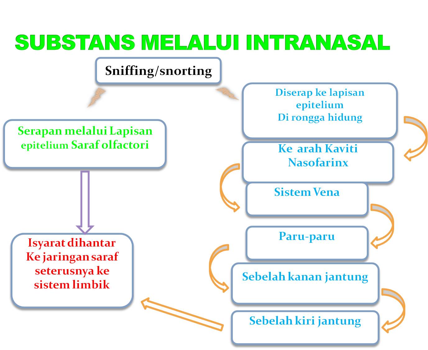 FARMAKOLOGI DAN ANDA: MEKANISME CARA KEMASUKAN INTRANASAL, SUBSTANS ...