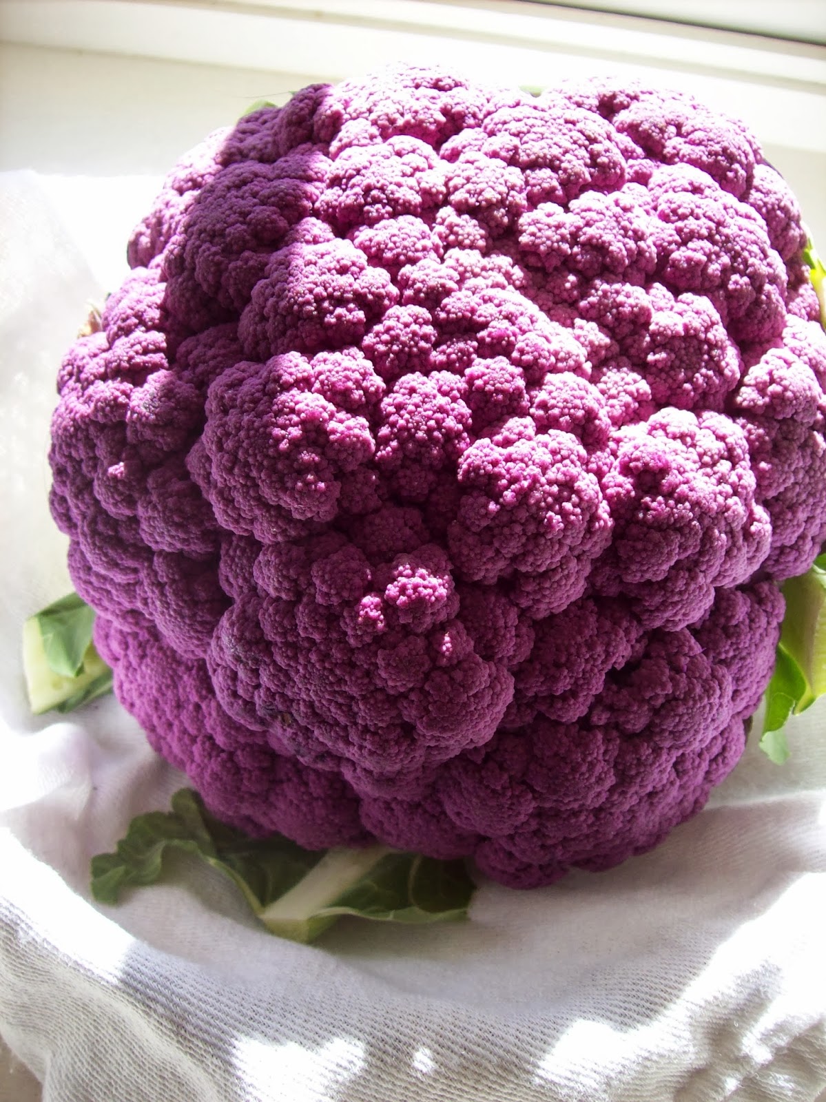 red or green?: Cauliflower, Leek & Peppers Frittata