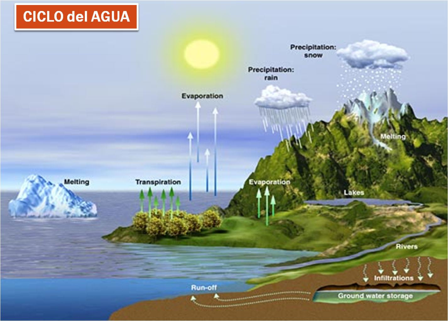 Ecología, Ambiente y Empresa: Ciclos Biogeoquímicos