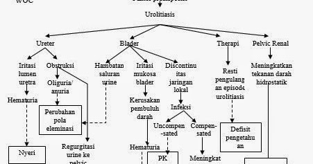 Urolithiasis Pada Hewan dan Penanganannya - Mydokterhewan