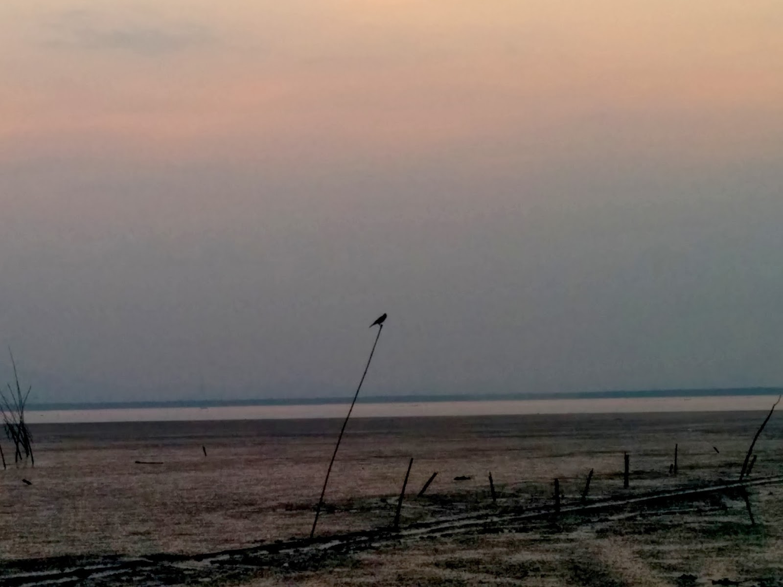 Sagar Vihar Vashi , Navi Mumbai