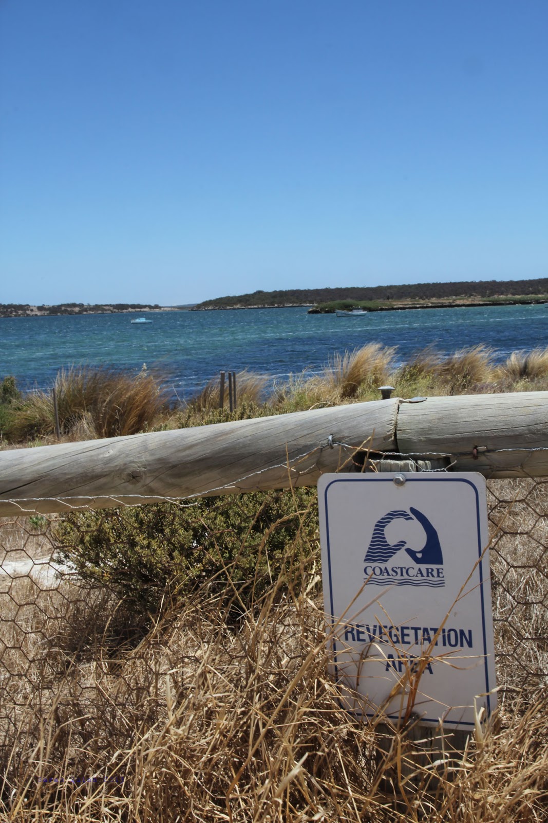Discovering The Eyre Peninsula