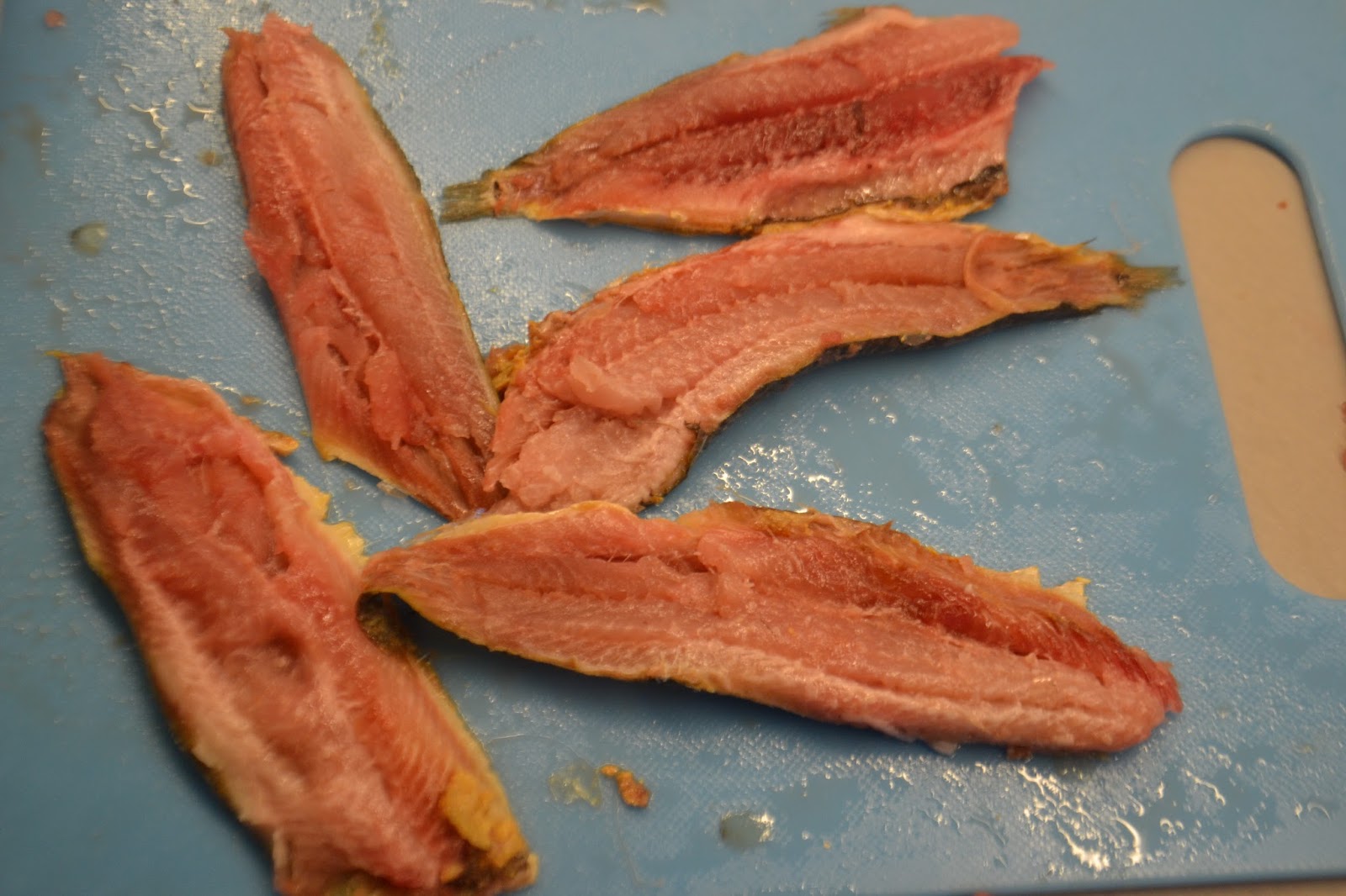 Oppdag Fisk!: Rund Sardin/Round Sardinella/Sardinella Aurita (Saltvann ...