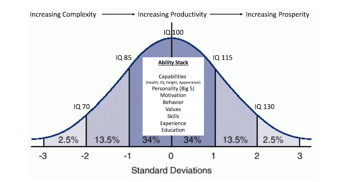 Thing Finder: Behavioral Sink