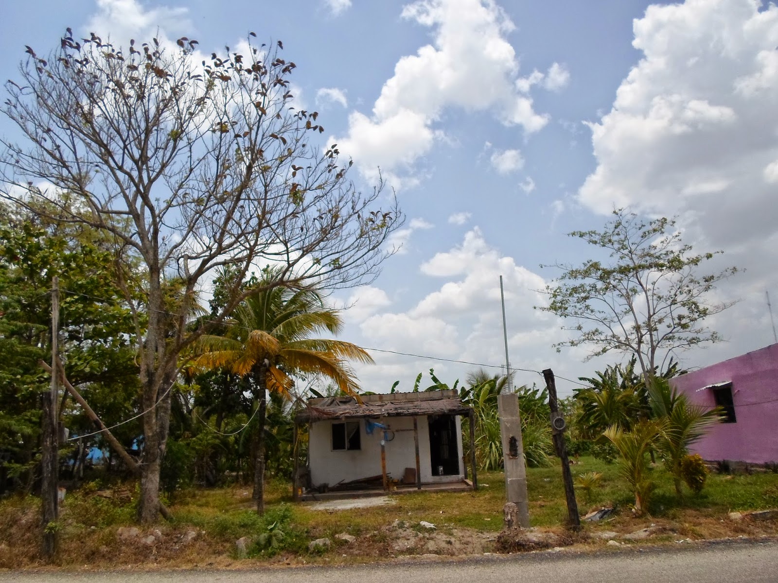 ELDER HUNTER DARREN DEVRIES