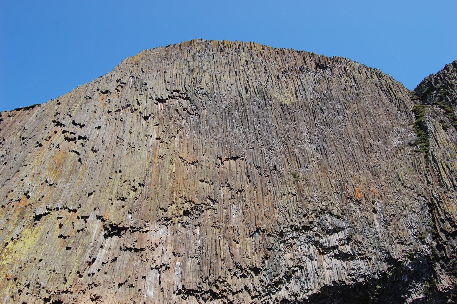 blackoaknaturalist: Some Table Mountain Geology: TM, 3/23/12