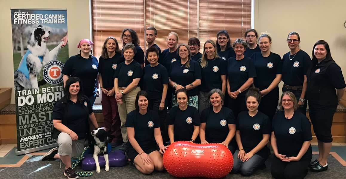 Hybrid Dog Training: CCFT