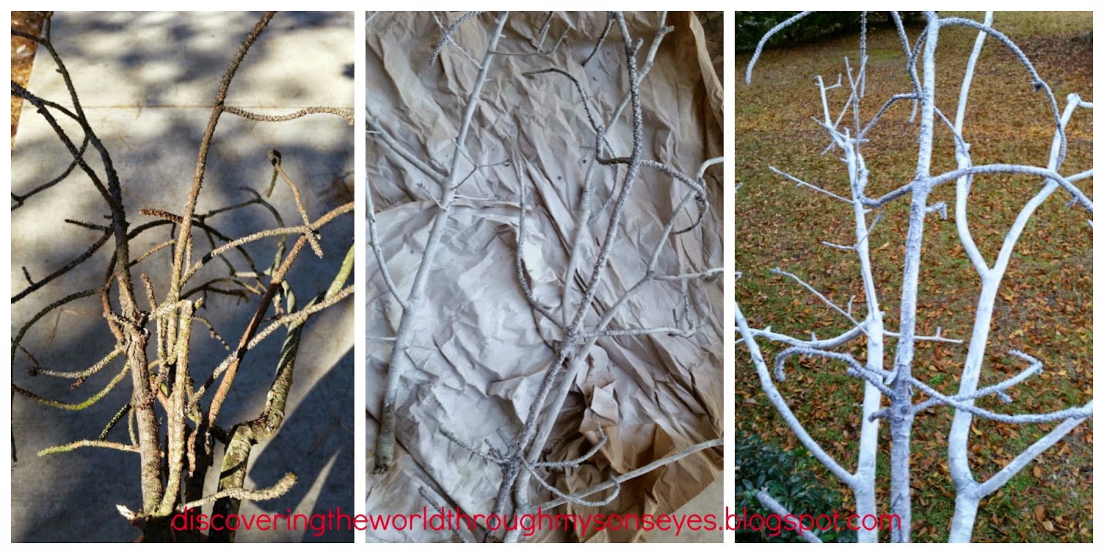 Charamico a Traditional Dominican Christmas Tree