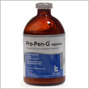 Sensible Survival: Antibiotics in Your Survival Medicine Cabinet