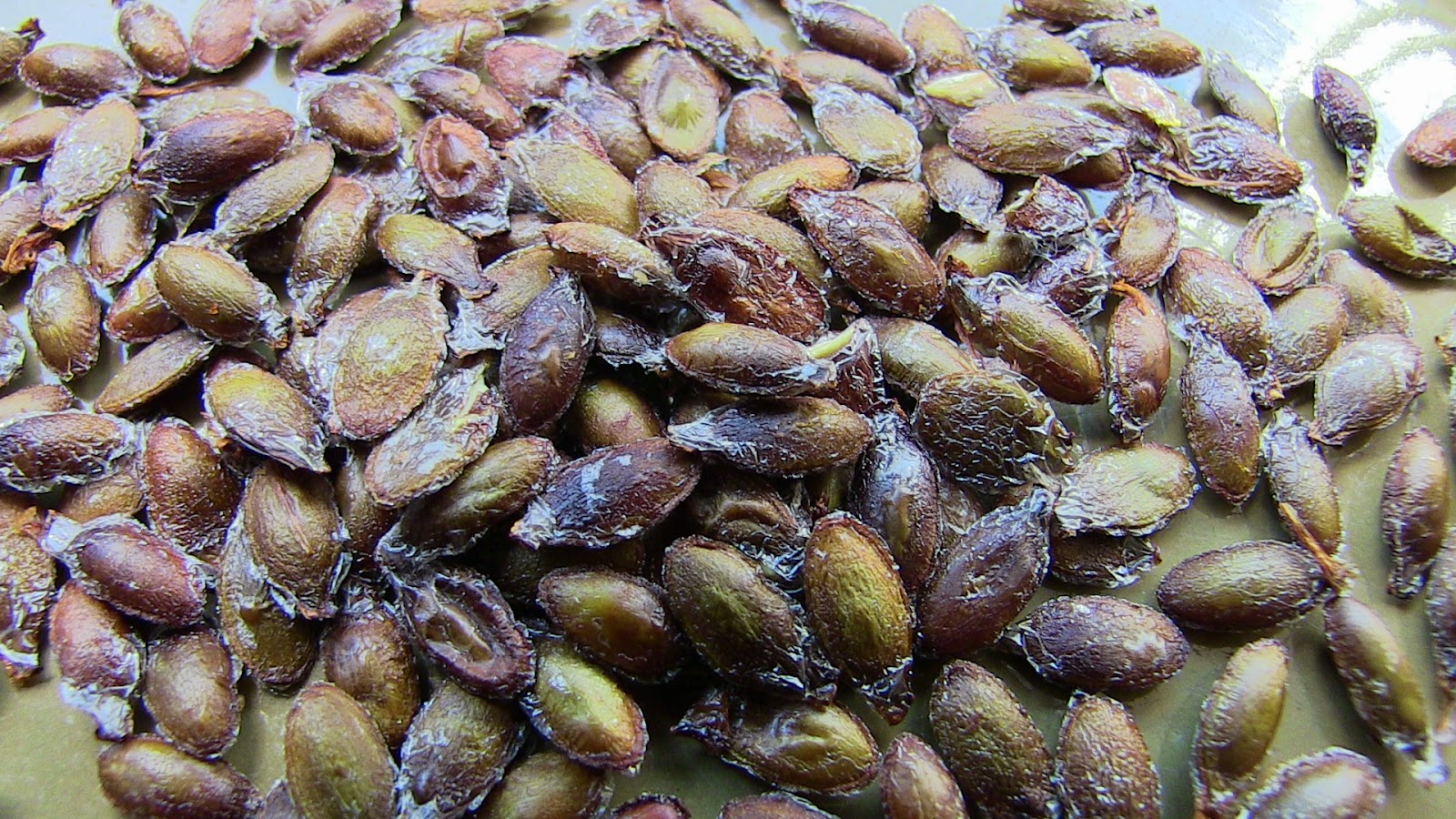 A Woodsrunner's Diary: Kakai Squash. Trail Food.