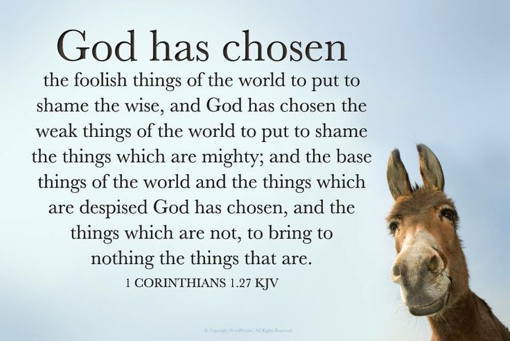 MANUFACTURER'S HANDBOOK: FOOLS WISE IN THEIR OWN EYES -- SO SOW KINGDOM ...