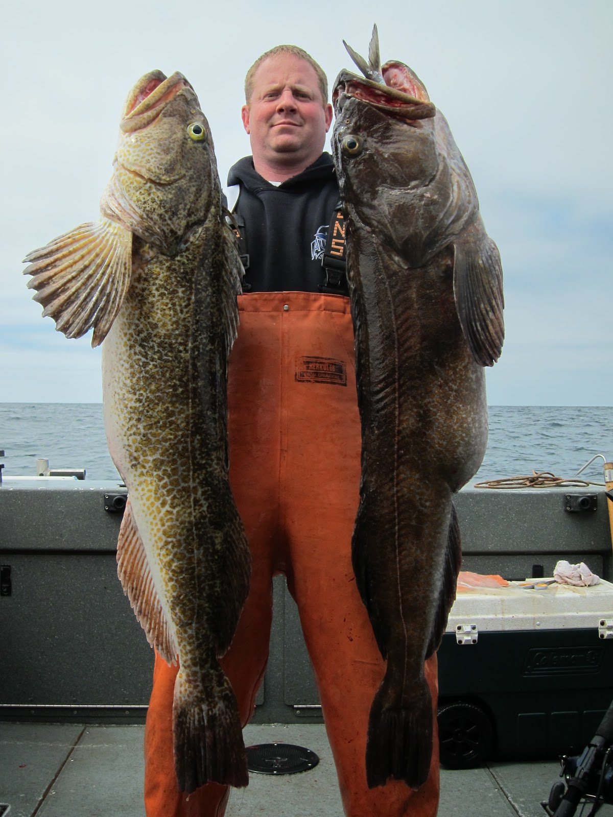 Todds Extreme Fishing: Neah bay halibut & lingcod