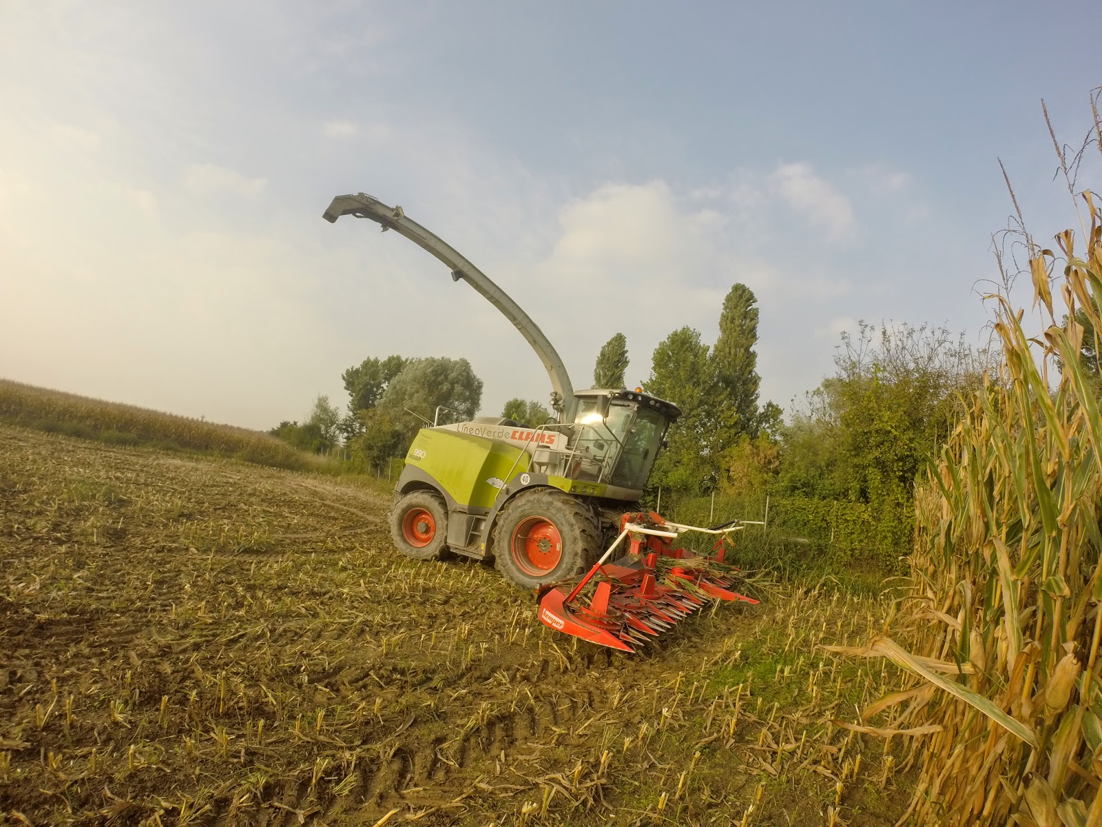 Agricolture Pic: Claas Jaguar 990