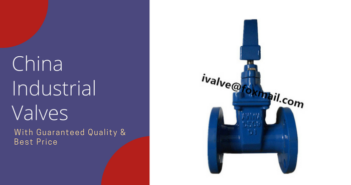 Cast Iron AWWA C509 C515 Gate Valve